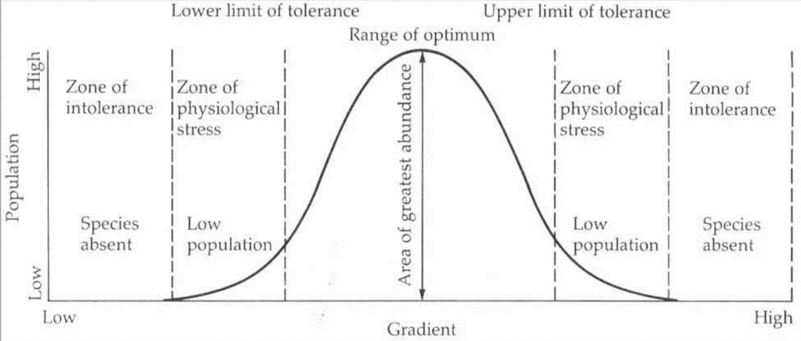 Range Of Tolerance Thomas Countz Range Of Tolerance Thomas Countz